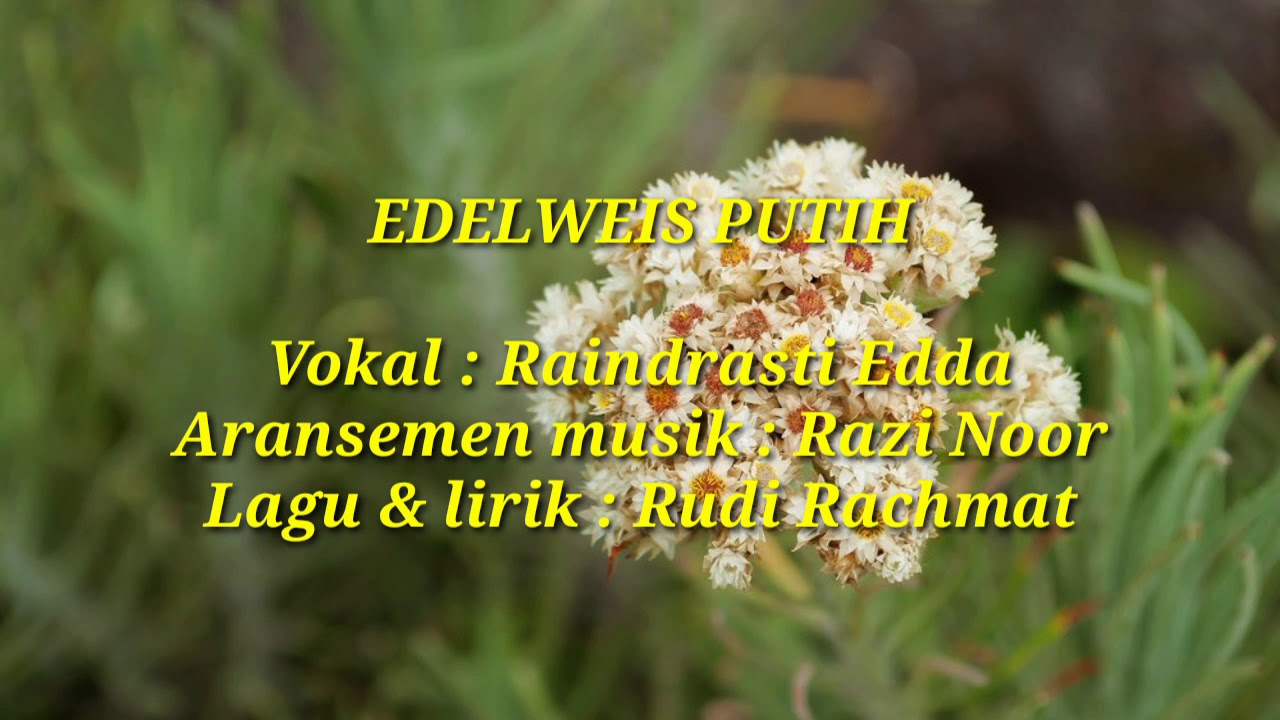 Edelweis Putih - Raindrasti Edda & Razi Noor - YouTube