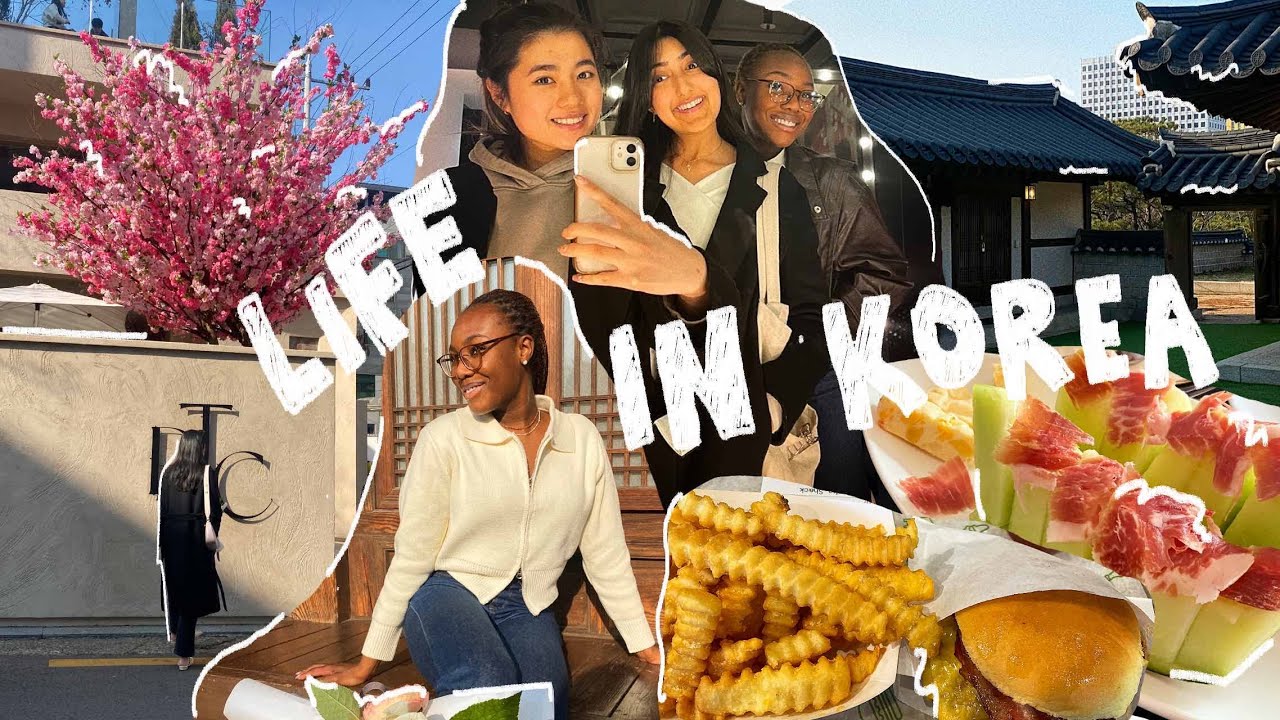 seoul 006. chill days + shake shack cravings + celebrating birthdays ...