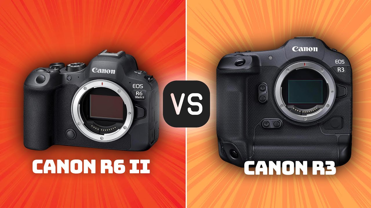 Canon R6 II vs Canon R3: Which Camera Is Better? (With Ratings & Sample ...