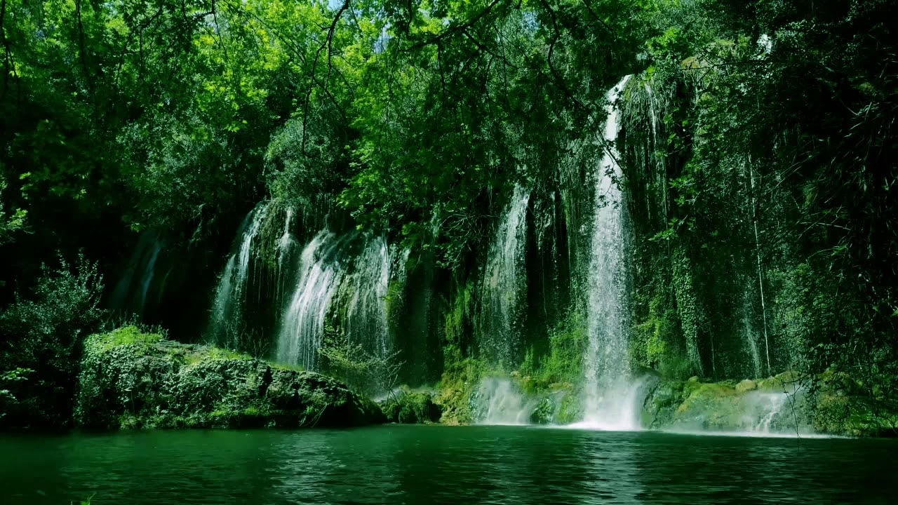 Relaxing Natural Sounds, Sounds of Relaxing Waterfall, Forrest Sounds ...