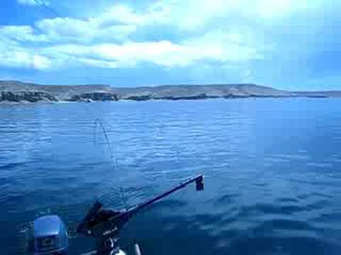 Flaming Gorge 8-03-08 Video 3 - Kokanee Salmon Fishing - YouTube