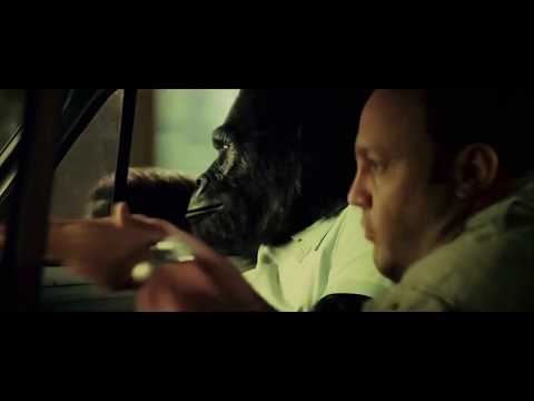 Zookeeper Driving Scene Loop
