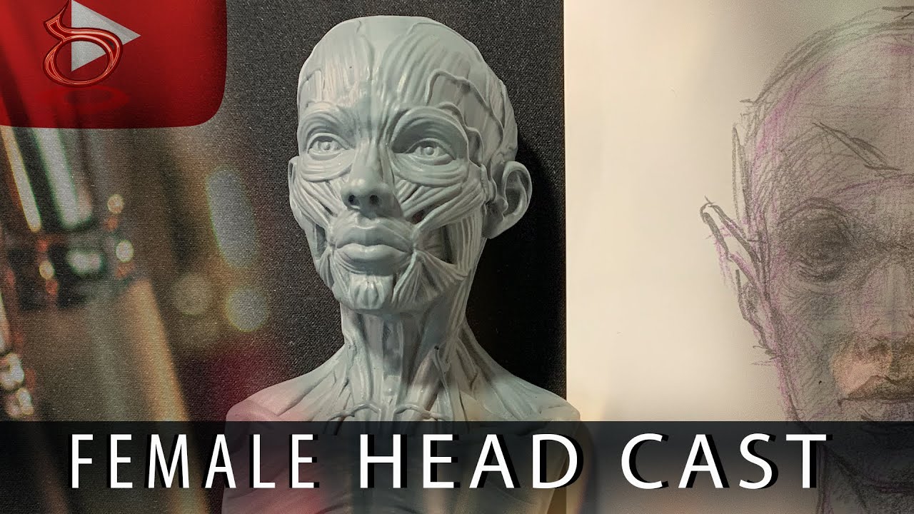 Female Resin Head Cast for Drawing Practice - YouTube