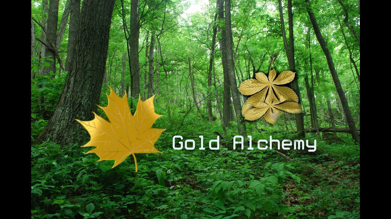 Gold Leaf Alchemy Therapeutic Sound Healing - YouTube