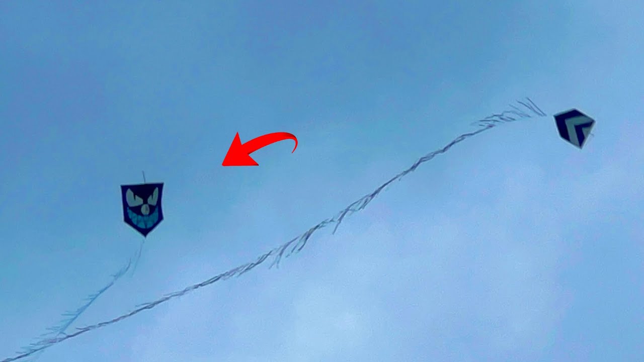 UAAU, PICOTADOR DE PIPAS CORTA 4 - MALVADÃO DA AULAS DE RÉLO, CORTA ...