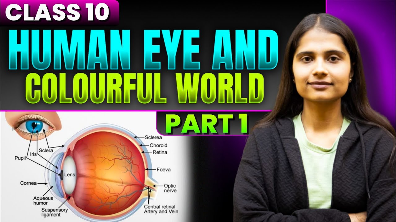 | Human eye and the colourful world | Class 10 | - YouTube