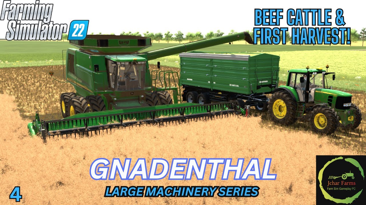 FS22 GNADENTHAL E04 - BEEF CATTLE AND FIRST HARVEST! - LARGE MACHINERY ...