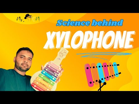 Xylophone Secrets: Unlocking the Power of Pitch! 🎶🔍🪇 | Mr. STEM India ...