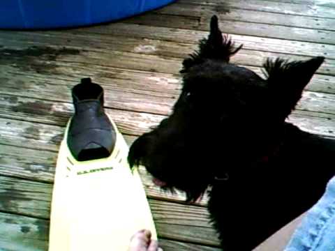 Sadie summer time