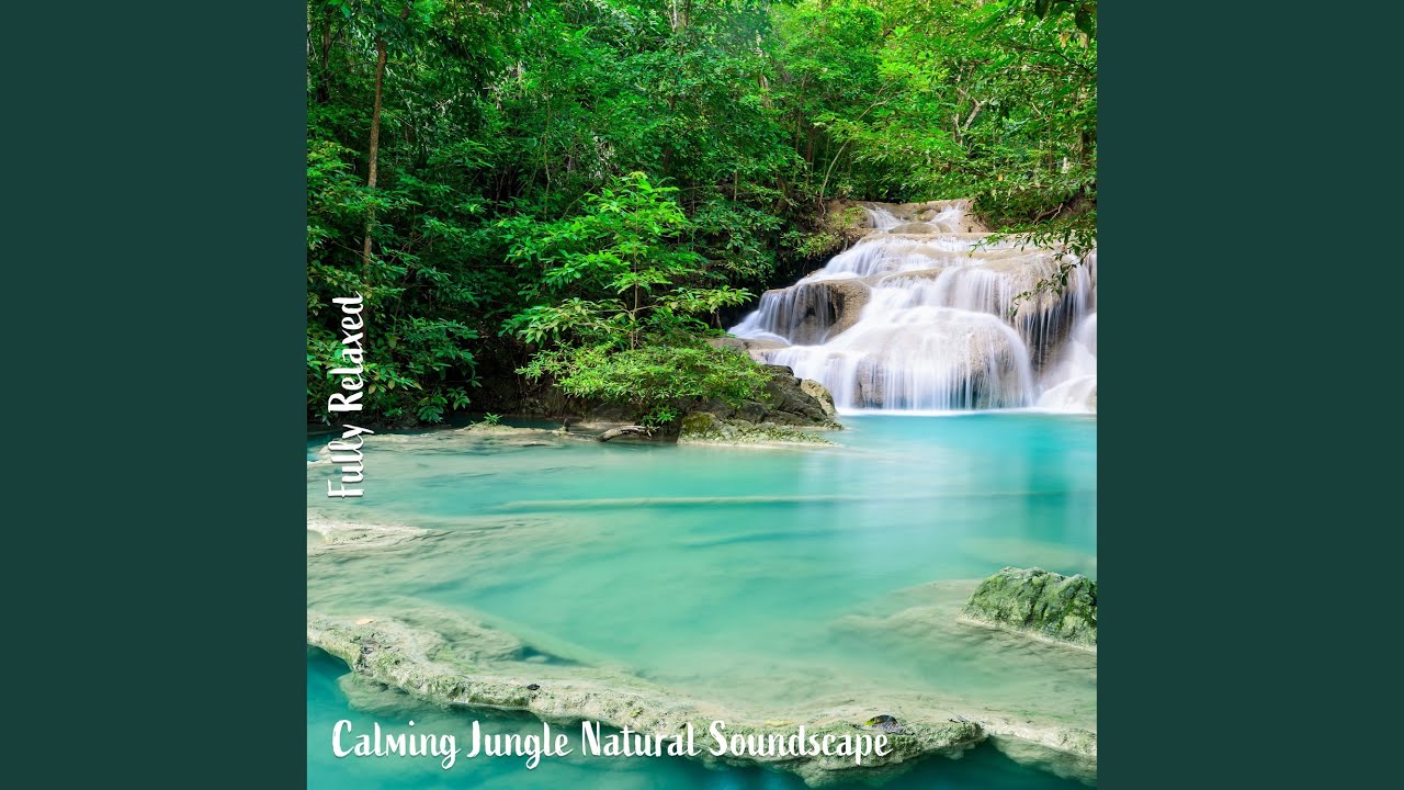 Calming Jungle Natural Soundscape, Pt. 1 - YouTube