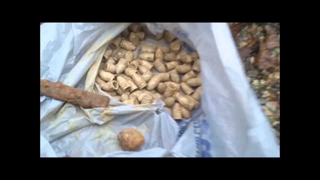 Lee's Retreat Civil War Relic Hunting B-Day Bullet Nest!!!!! - YouTube