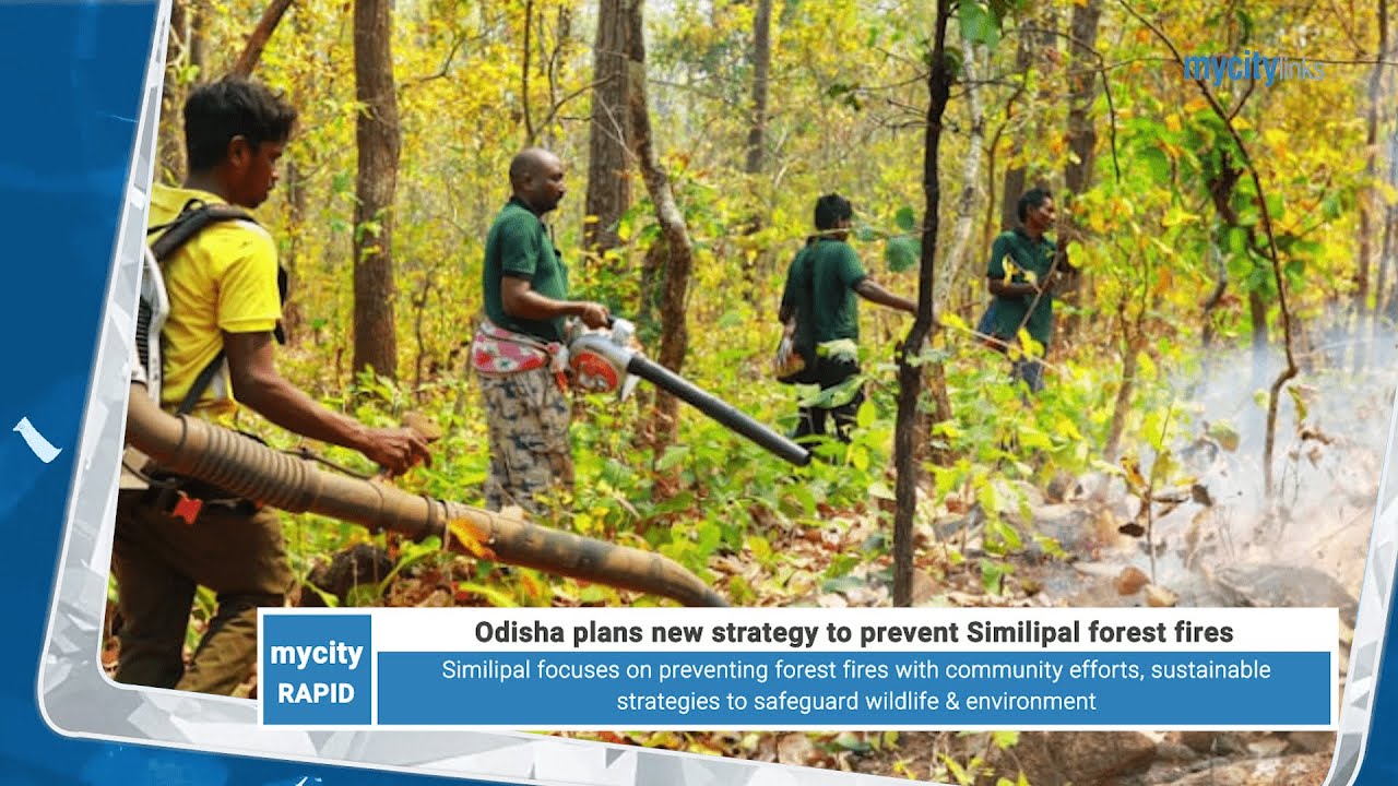 Odisha Plans New Strategy to Prevent Similipal Forest Fires | News ...
