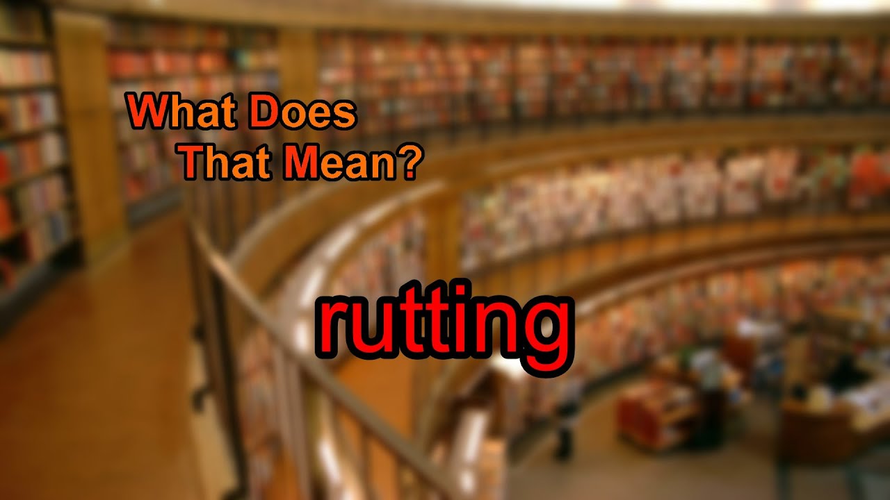 What does rutting mean? - YouTube