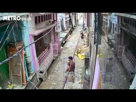 man being attacked by group of monkeys group😯😯😯😯 | Viral Video ...