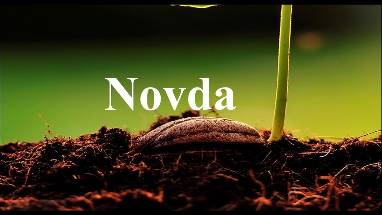 Poya, Novda 6 Biologiya 10-11-Mavzu - YouTube