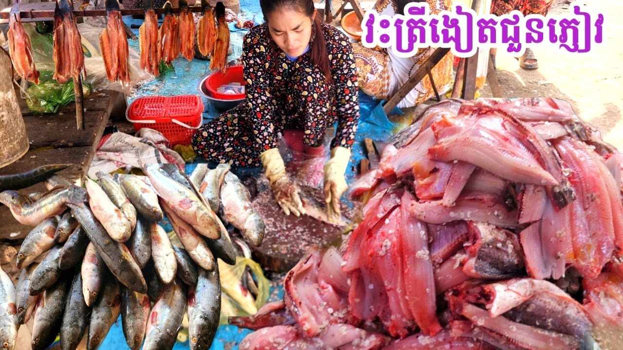 ថ្ងៃនេះ ម៉ូយៗកម្មង់ត្រីវះងៀត || Freshwater Fish Market KH [Ep. 324 ...