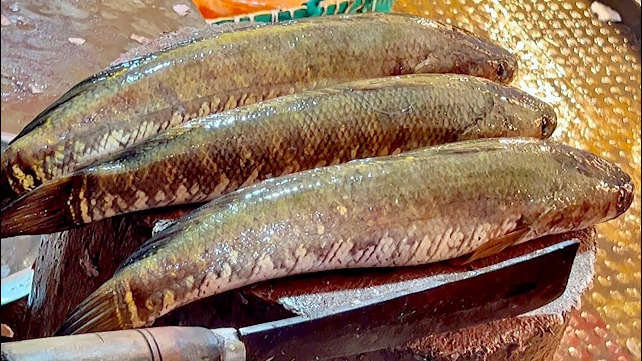 Big Sola Fish Cutting Skills Live In Bangladesh | Amazing Fish Cutting ...