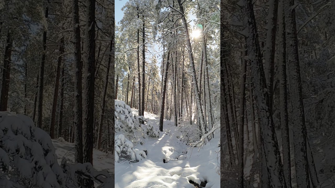 Piece of Peace: Mt Ord snow AZ - YouTube