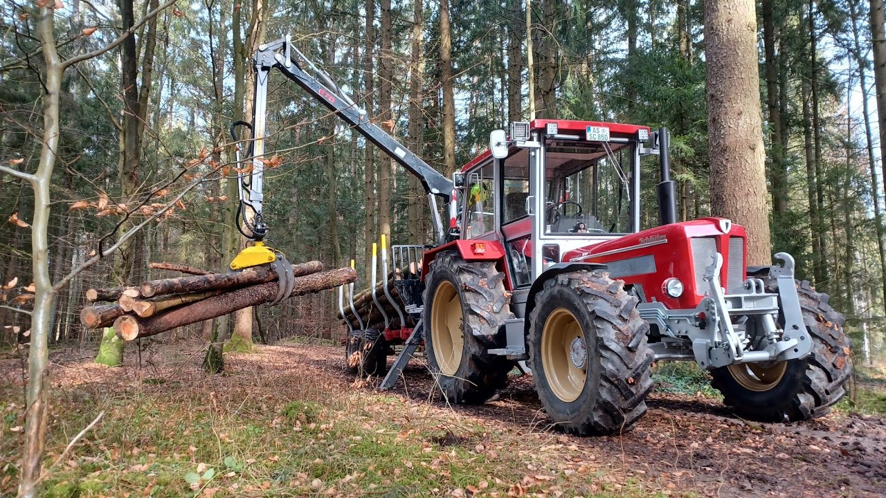 Holz aus'm Wald holen und sägen - YouTube