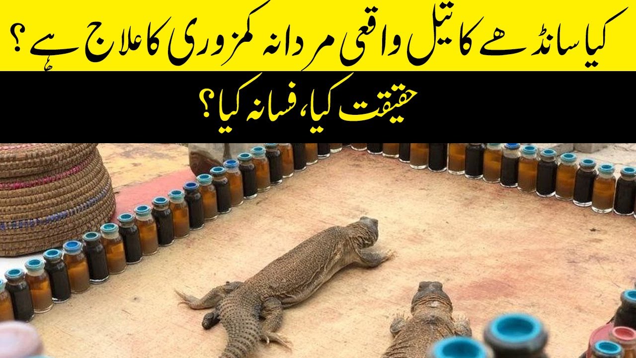 Sanda Oil Benefits In Urdu