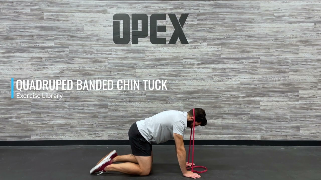Quadruped Banded Chin Tuck - YouTube