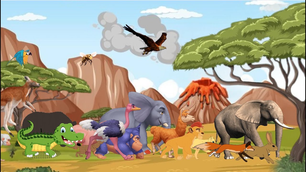 Animal Sounds Song for Toddlers🐾 ABC Nursery Rhymes Animal Hide & Guess ...