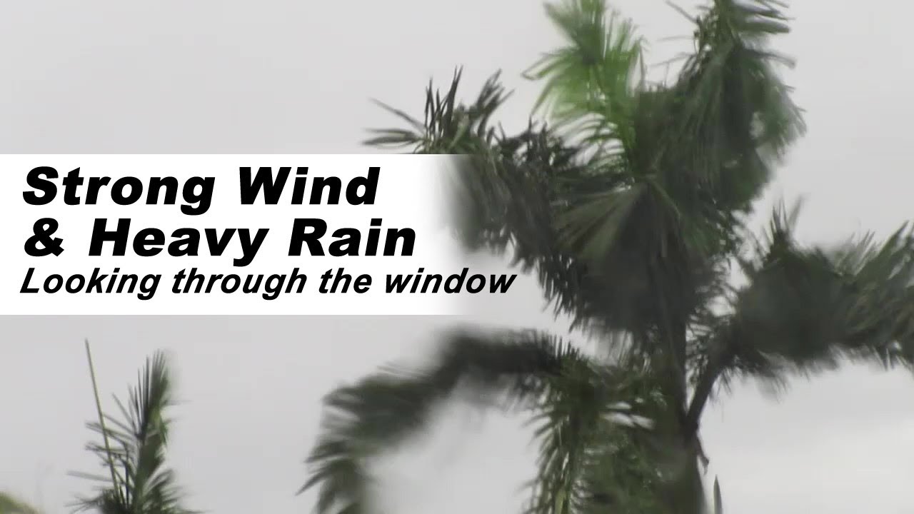 Looking Through the Window Staring at the Strong Wind and Heavy Rain ...