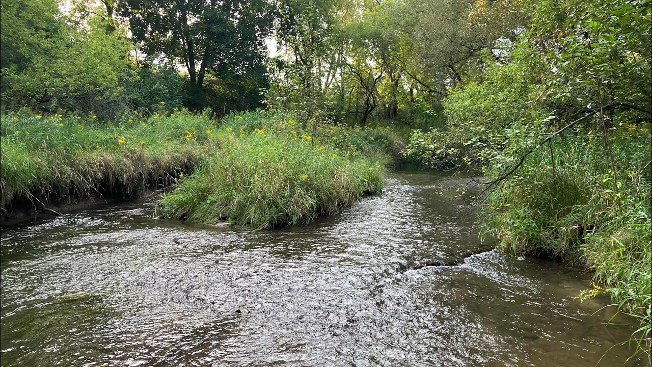 Trout Fishing with Rapalas and Worms in a Small Creek - Brook Trout ...