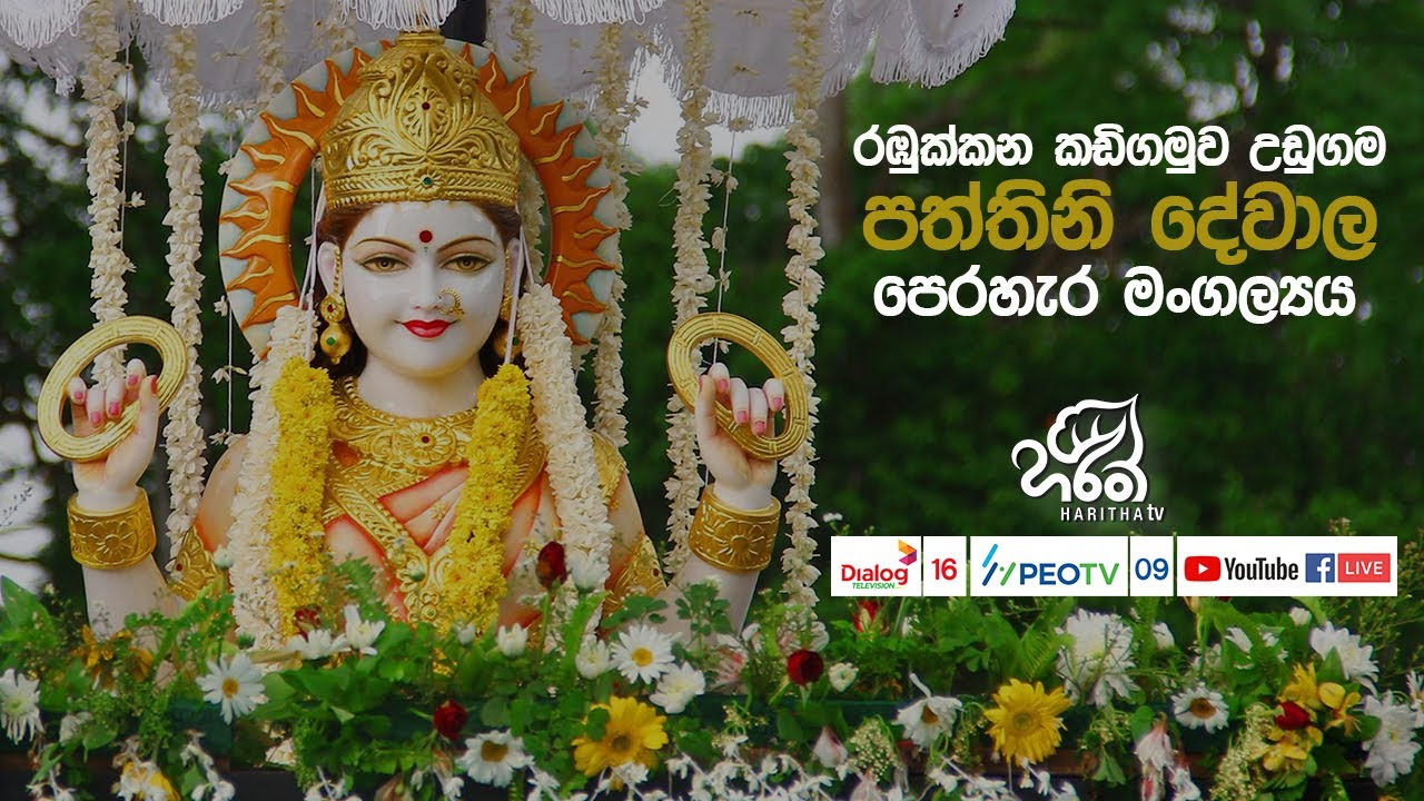 🔴"රඹුක්කන, කඩිගමුව උඩුගම පත්තිනි දේවාල පෙරහැර මංගල්‍යය" 🦚🐘🙏😍 | Live ...