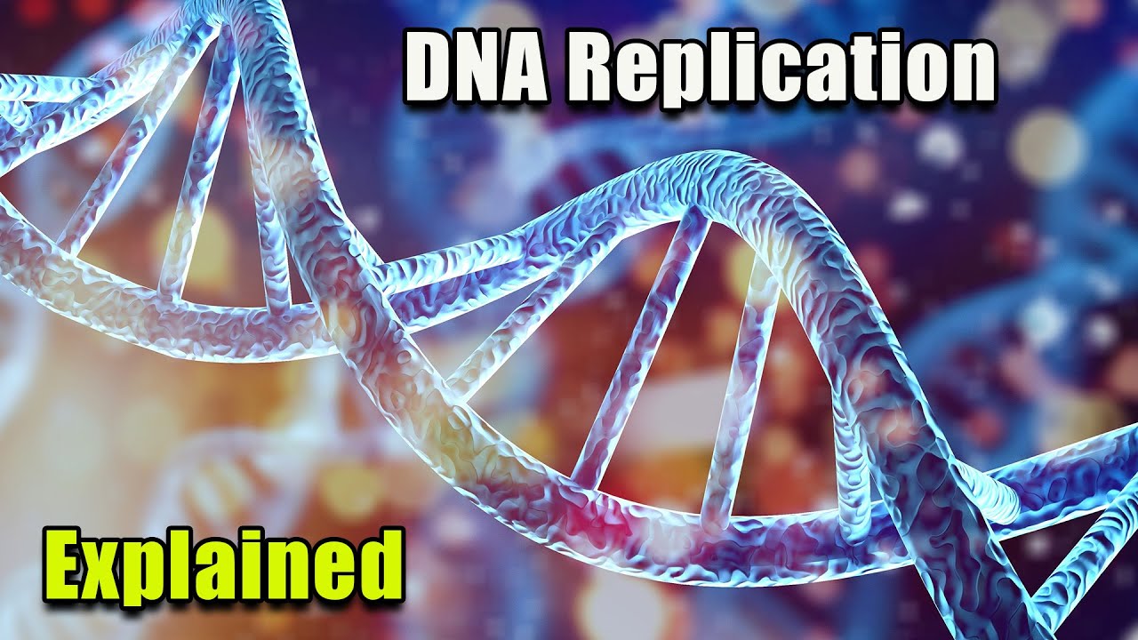 DNA Replication Made Simple! - YouTube