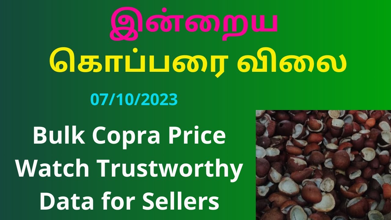 Bulk Copra Price Watch Trustworthy Data for Sellers | Copra Valuation ...