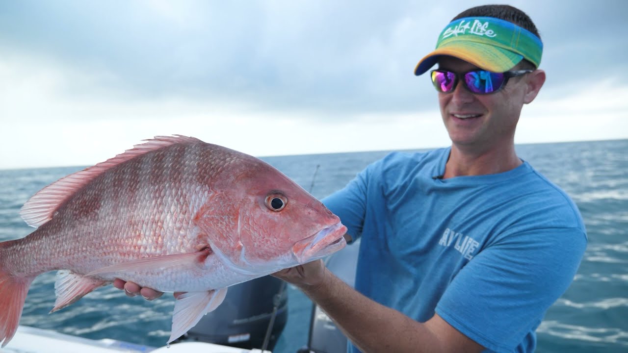 Red Snapper and Grouper Fishing Florida - YouTube