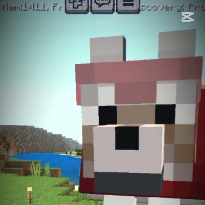 mi perrito de minecraft ️‍🔥💕 - YouTube