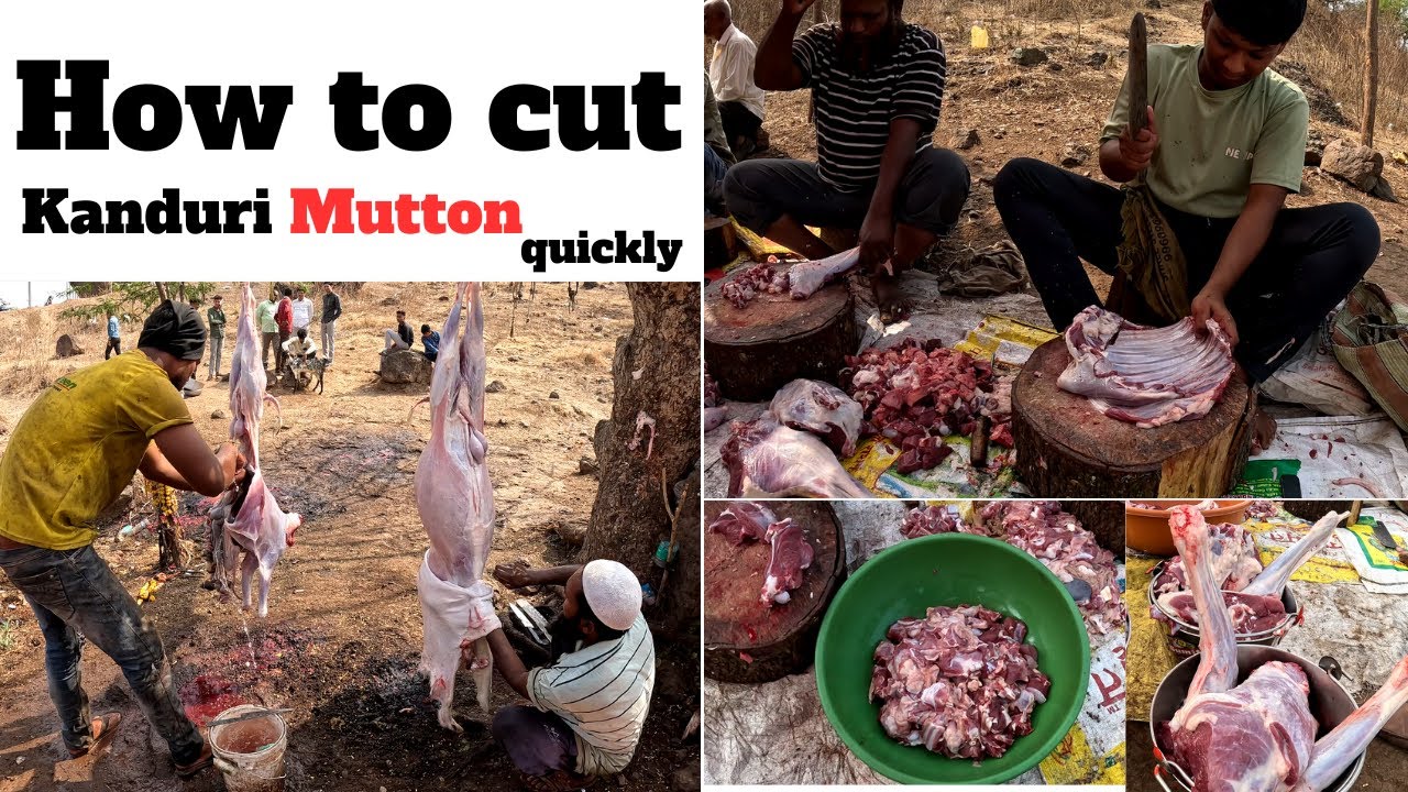 Mountain Goat Qurbani 🐐😇 || bakra cutting for kanduri at mhasoaba ...