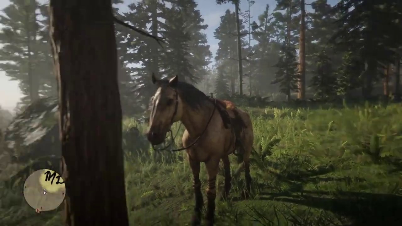 Red Dead Redemption 2 online: Golden Dun Mustang - YouTube