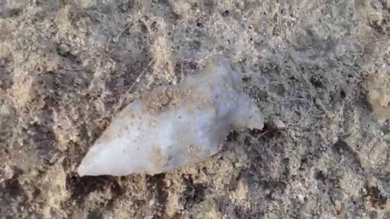 Smokey QUARTZ Arrowhead! ~ 324 Artifact Find! July 2015 - YouTube