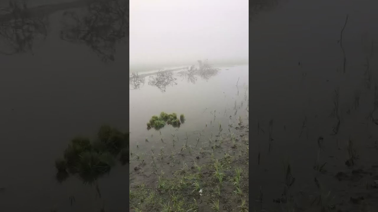 MH STAR is live - YouTube