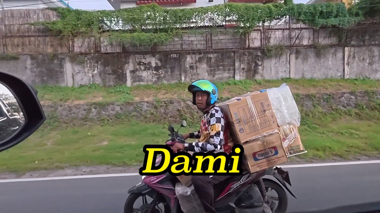 Dami nyan boss - YouTube
