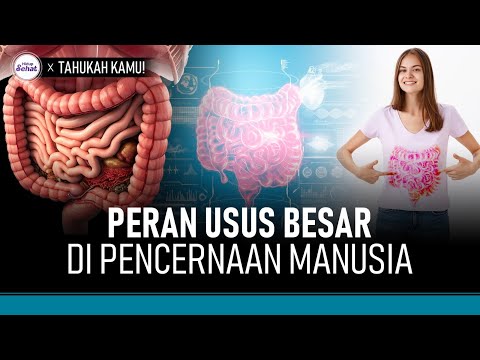 Tanpa Usus Besar, Ini yang Akan Terjadi di Sistem Pencernaan | Hidup Sehat tvOne