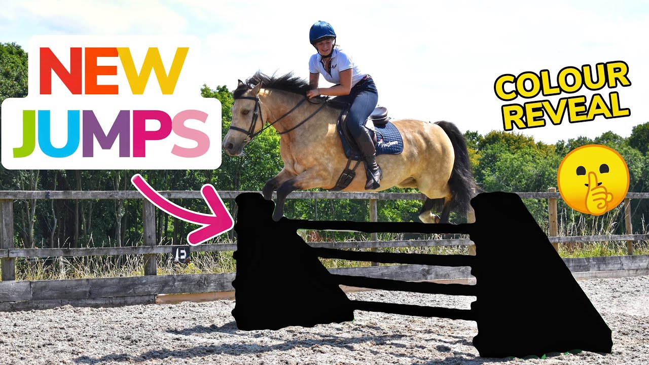 I HAVE *more* NEW SHOWJUMPS ~ Colour reveal and jumping them for the ...