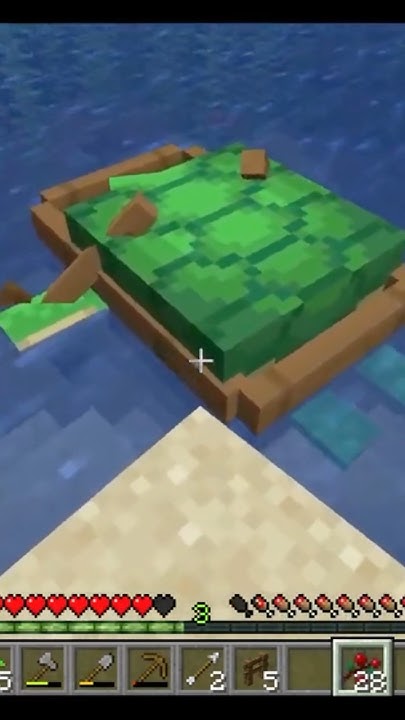 Turtle in my boat - YouTube