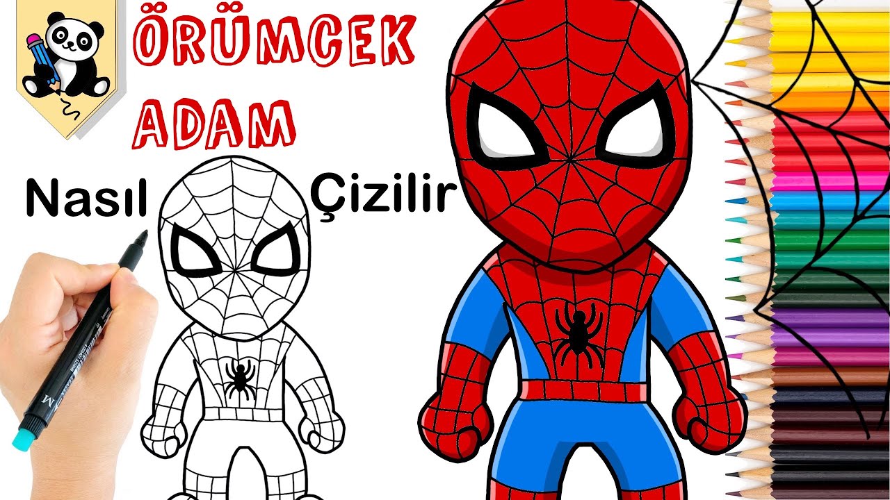örümcek Adamın Kolay çizimleri