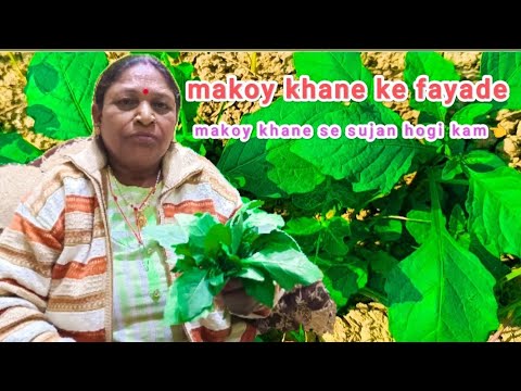makoy ke fayade 👈makoy khane se sujan hogi kam #trending #viralvideo - YouTube