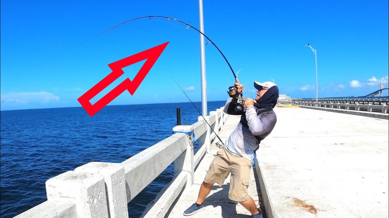 How to fish GROUPER at Skyway fishing Pier!! Grouper secrets - YouTube