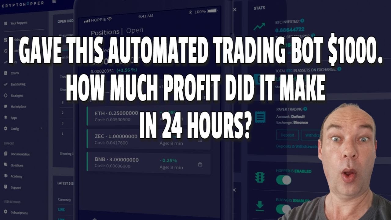 Cryptohopper Low Risk Trading Bot Strategy Results After 24 Hours - YouTube