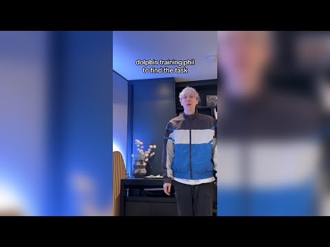 Dan & Phil TikTok - dolphin training phil to find the task (February 3rd 2026)