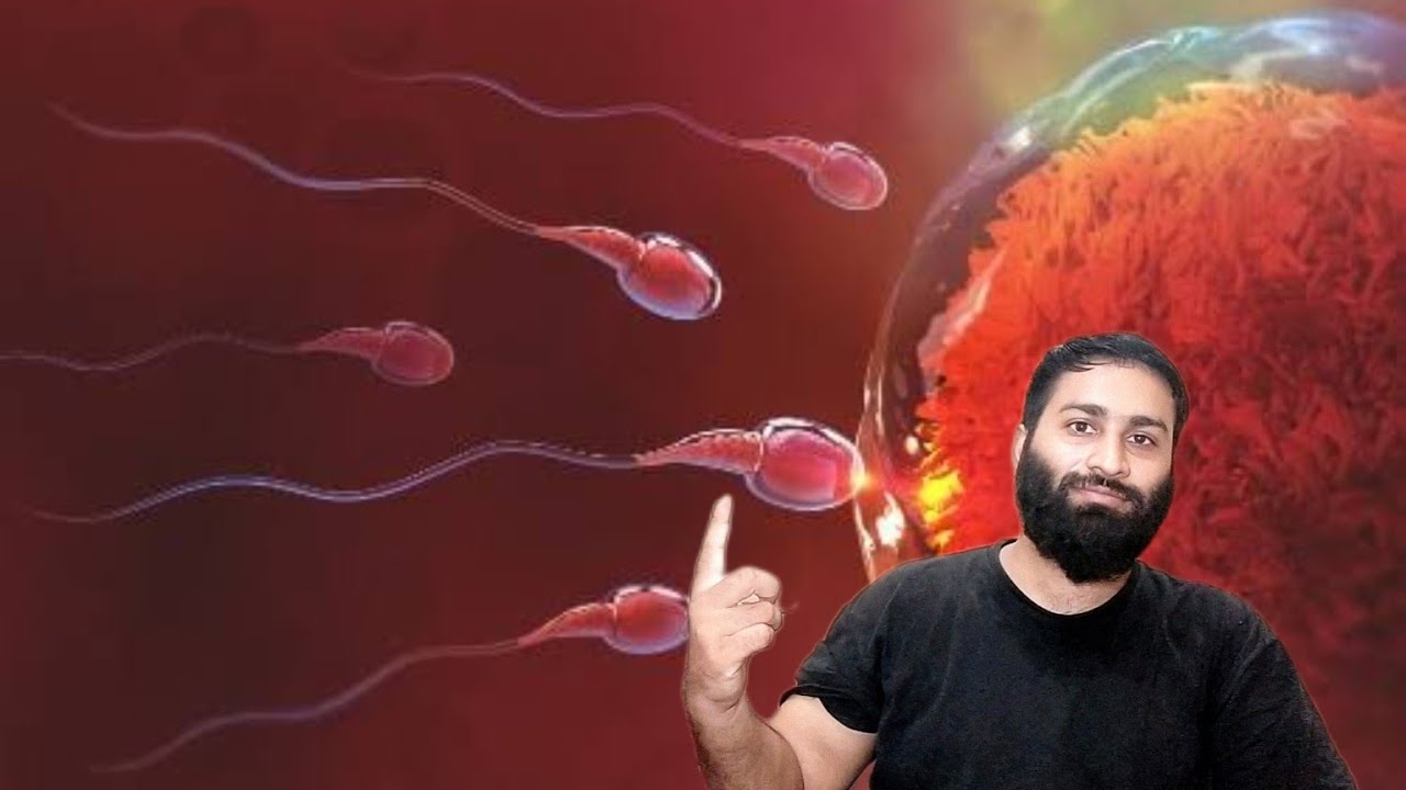 How Your Infertility Reverse By CoQ10? - YouTube