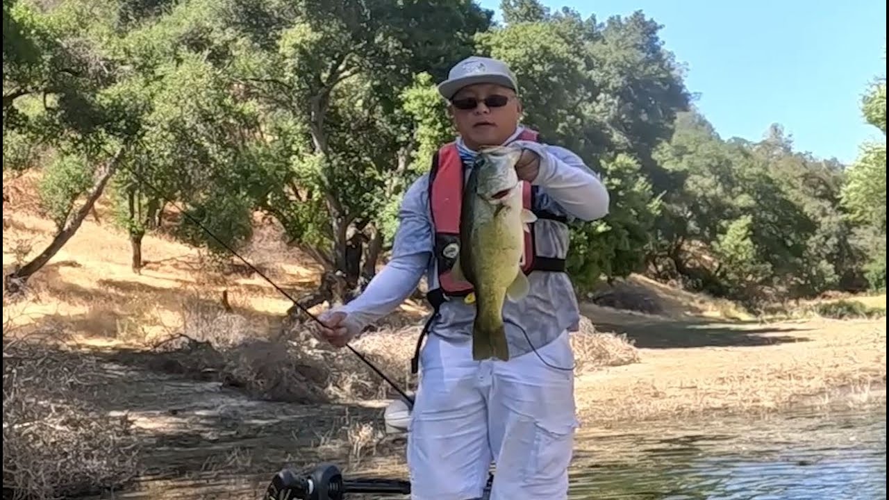Top Water Bass Action - YouTube