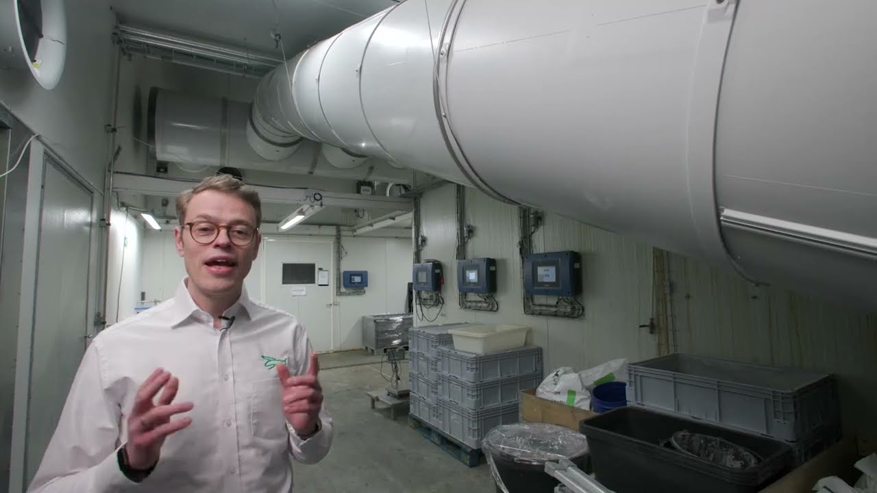 Better Insect Solutions – Collaboration with ENORM - YouTube