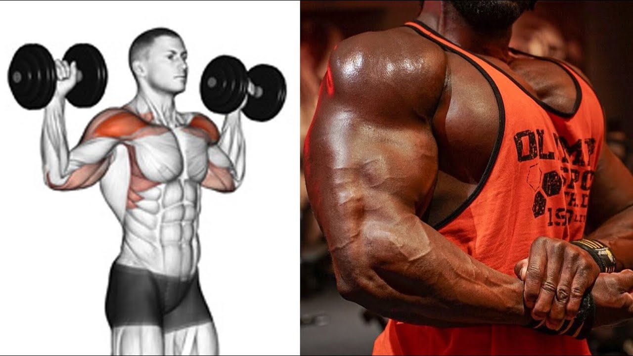 Home Shoulder Workout Dumbbell Only - YouTube